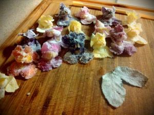 Crystalized Edible Snapdragon Flowers – Haute Bites Food